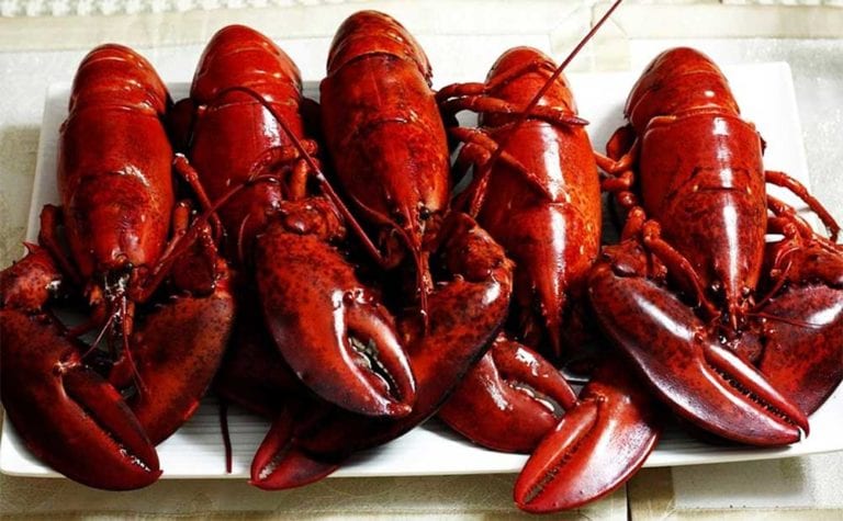 Types of Lobster - The Kitchen Community