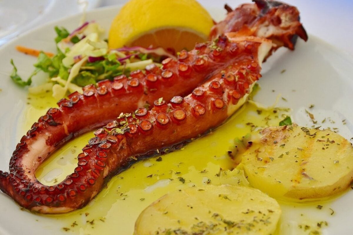 Japanese Grilled Octopus