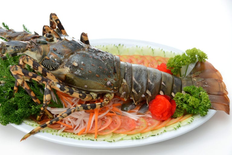 Types of Lobster: Delicious Seafood Year Round - The Kitchen Community