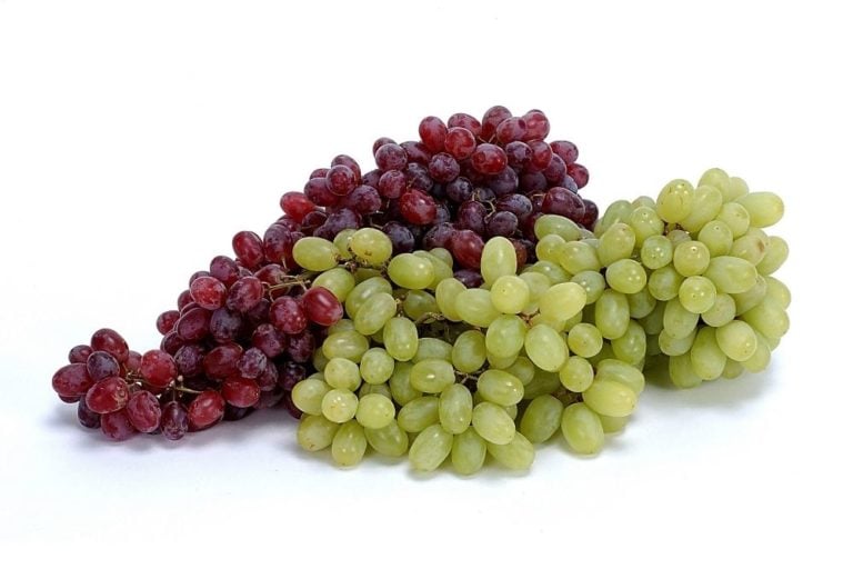 Foods that Start with G - The Kitchen Community