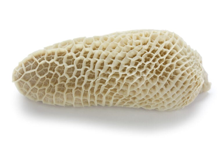 What Is Tripe? - The Kitchen Community