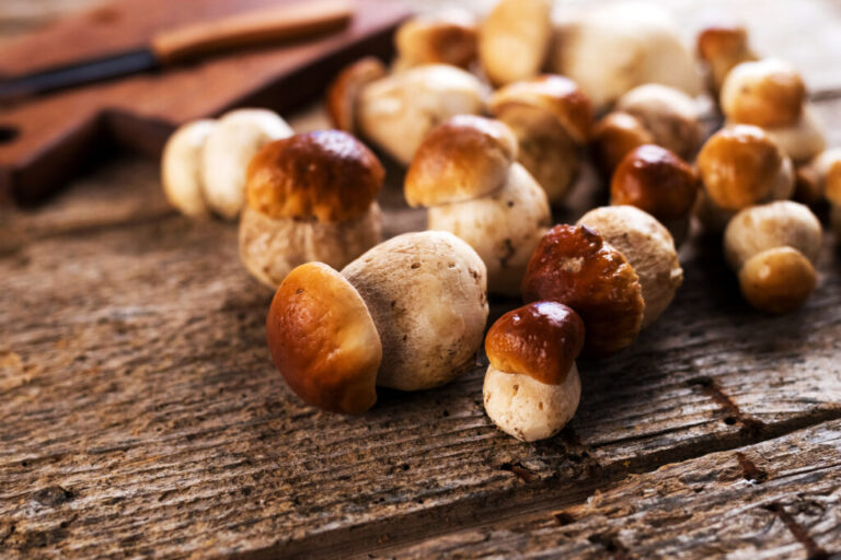 Most Expensive Mushrooms in the World - The Kitchen Community