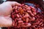 Quick Soak Beans for Faster Cooking - The Kitchen Community
