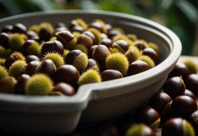How to Store Chestnuts - The Kitchen Community