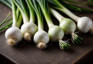 Understanding the Varieties of Green Onions - The Kitchen Community