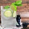 More Delicious Mint Cocktails - The Kitchen Community